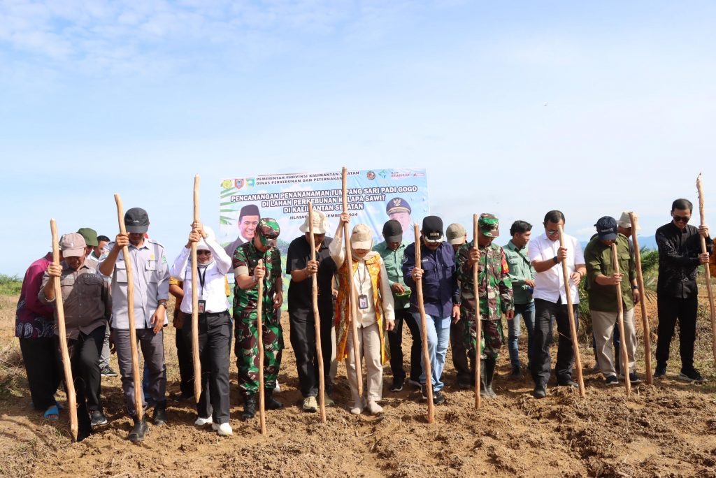 Kalsel Siapkan 17.000 Hektare Lahan Demi Dukung Program Swasembada ... Kalsel Siapkan 17.000 Hektare Lahan Demi Dukung Program Swasembada ...